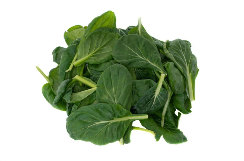 Tatsoi Verde